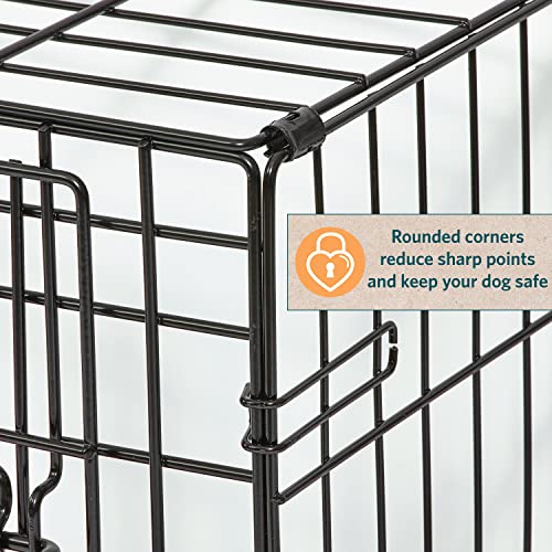 MidWest Homes for Pets Large Dog Crate | MidWest Life Stages Folding Metal Dog Crate | Divider Panel, Floor Protecting Feet, Leak-Proof Dog Pan | 42L x 28W x 31H Inches, Large Dog