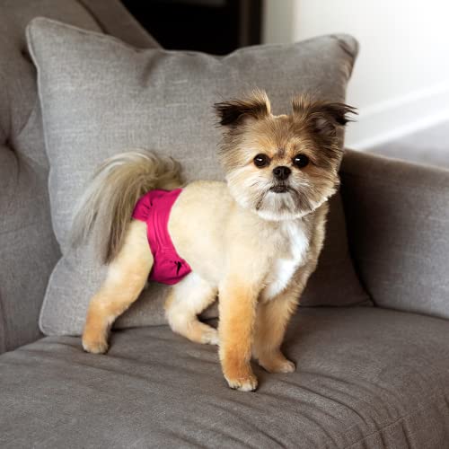 Pet Parents® Washable Dog Diapers (3pack) of Doggie Diapers, Color: Princess, Medium Dog Diapers