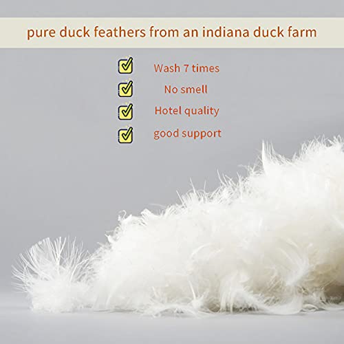YSTHER Down Feather Throw Pillow Inserts 20x20 Set of 2 Square Form Sham Stuffer Premium Hypoallergenic Cotton Lumbar White Decorative Sofa Cushion Couch