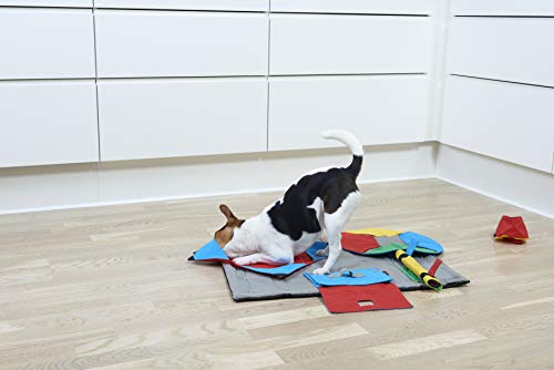 Kruuse Task for Buster Activity Mat, Envelope