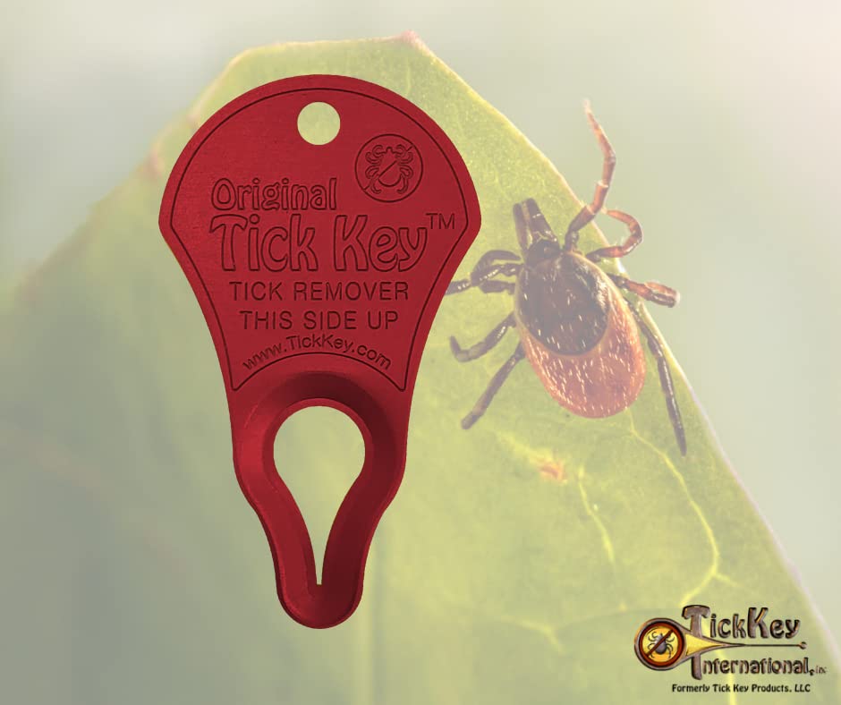 The Original Tick Key -Tick Removal Device - Portable, Safe and Highly Effective Tick Removal Tool - 3 Pack (USA)