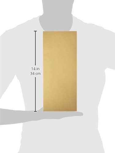 PDC Healthcare F3B File Folder Double Fold for Prescriptions Cardboard, 5-1/2" x 13" Buff (Pack of 100)