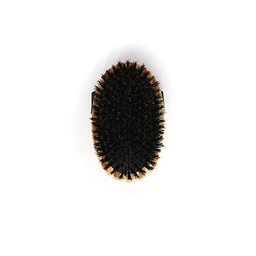 Pet Champion PTBBPLMBR All Natural Bristle Bamboo Palm Pet Brush, Large, Brown
