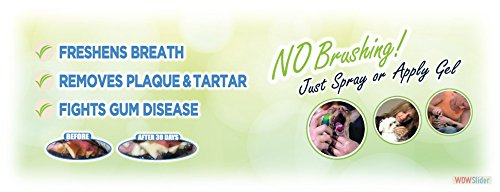 PetzLife Peppermint Oral Care Gel, 1 oz