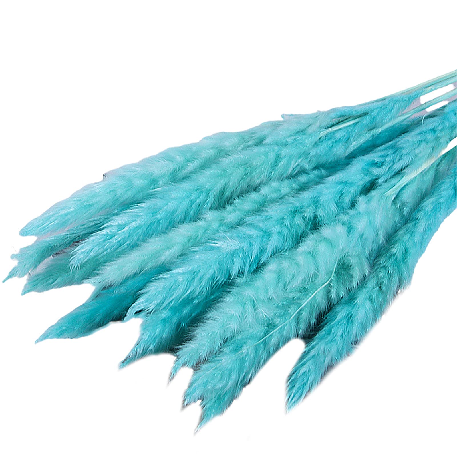 Mosichi Artificial Flower,15Pcs/Bundle Small Pampas Grass Ornamental Desktop Decor Dried Flower Birthday Party Artificial Reed Bouquet for Garden Garden - Blue