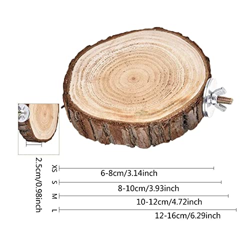 Litewoo Bird Perching Stand Ring Pine Platform Wooden Toy Suitable for Parrot Parakeet Cockatiel Lovebird Budgie Sparrow Canary Cockatoo (S)