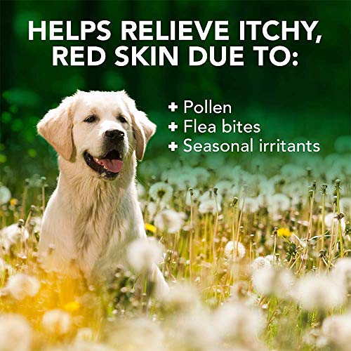 Vet's Best Allergy Itch Relief Spray for Dogs | Soothes Dog Dry Skin | Relieves The Urge to Itch, Lick, and Scratch | 8 Ounces
