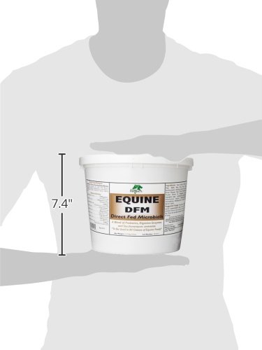 Nature's Farmacy Equine DFM (Direct Fed Microbial) Live Probiotics, Enzymes 50 Billion CFU Ounce