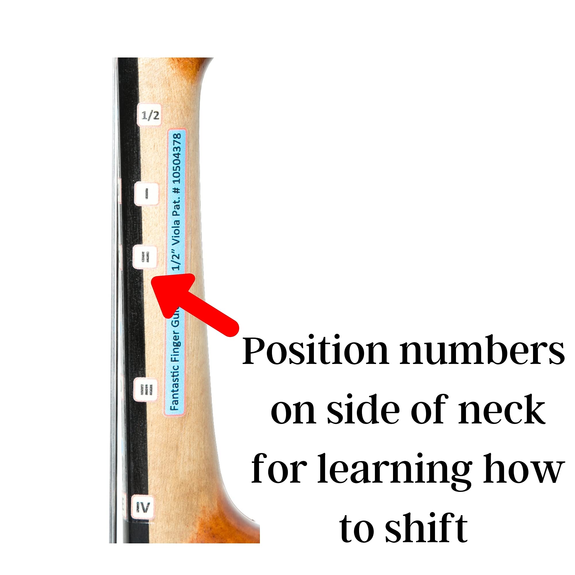 Fantastic Finger Guide for Violas | Stringed Musical Instruments | Fingerboard and Fretboard Stickers for Learning All Notes | Kids/Adult Beginner Viola Finger Guide |15.5" Size