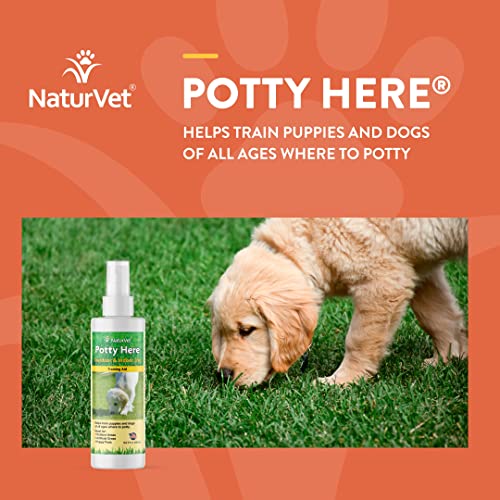 NaturVet β Potty Here Training Aid Spray | Attractive Scent Helps Train Puppies & Dogs Where to Potty | Formulated for Indoor & Outdoor Use | 8 oz