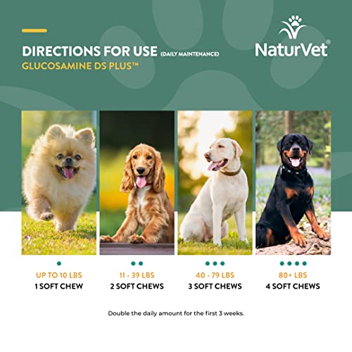 NaturVet – Glucosamine DS Plus - Level 2 Moderate Care – Supports Healthy Hip & Joint Function – Enhanced with Glucosamine, MSM & Chondroitin – for Dogs & Cats–120 Soft Chews
