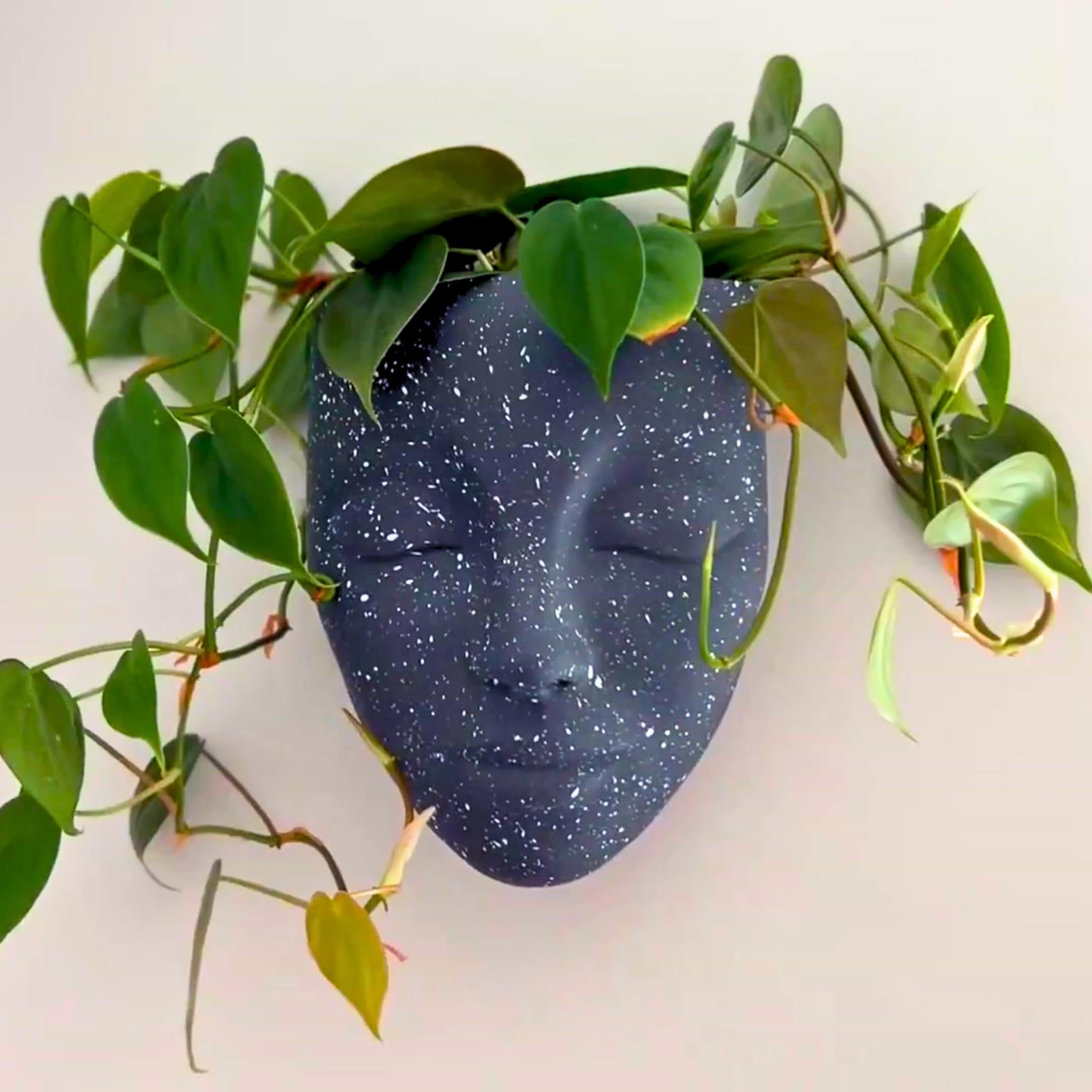 Bossa Linda Beige Wall Planter, Vertical Planter with Hook & Drainage, 3.9x5.6x7.1in, Modern Indoor Outdoor Decor, Face Planter for Succulents, Cactus, Flowers, Gift Idea