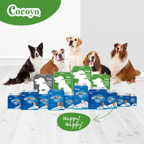 COCOYO Dog Training Pads 丨 Carbon Absorb Eliminating Urine Odor Doggie Training Pads 丨 Premium Charcoal Dog Pee Pads (100 Count, 22x22 inch),Gray