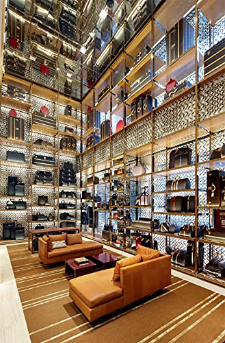 Louis Vuitton: The Birth of Modern Luxury Updated Edition