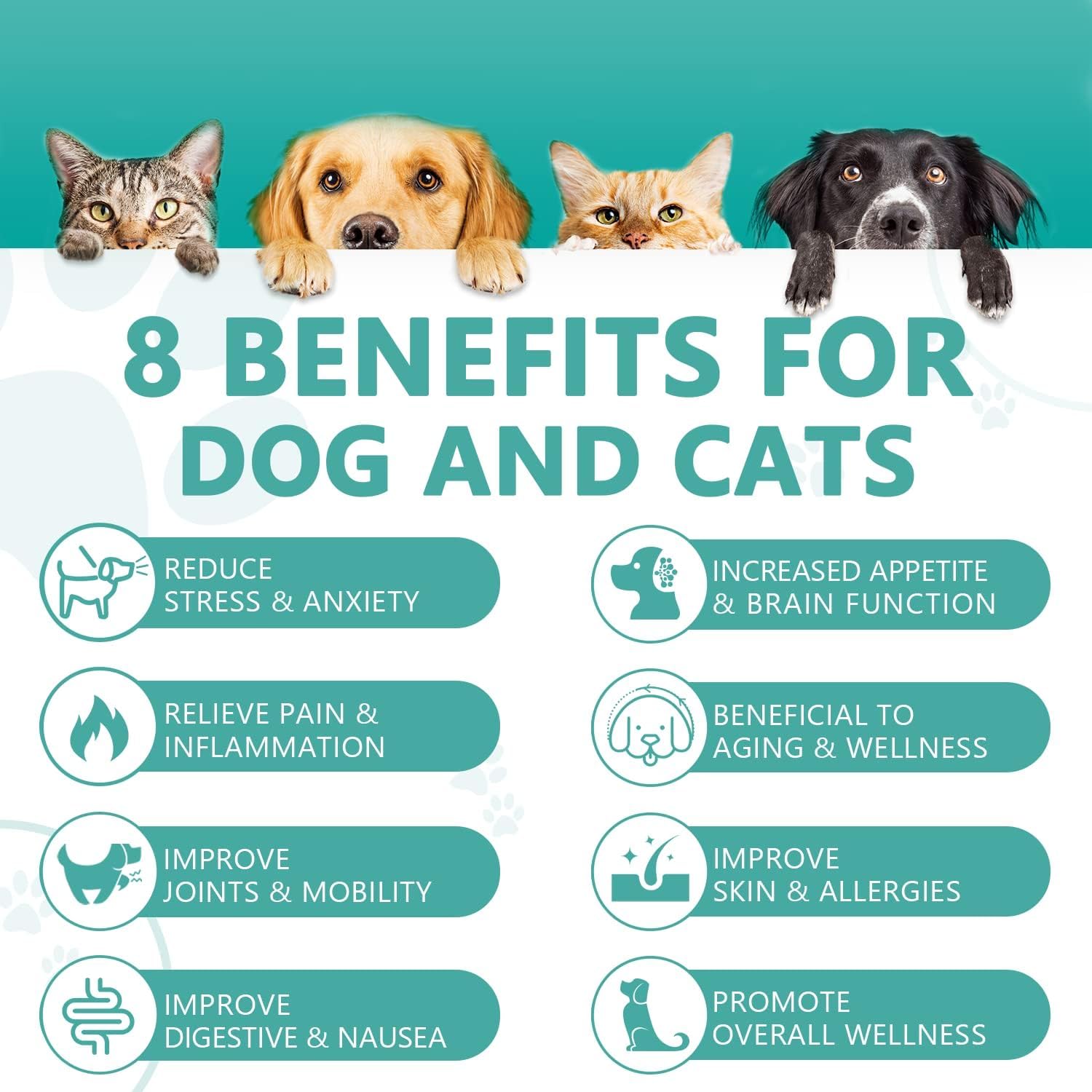 Dog Relaxants Dog Herbal Supplements Oil for Cat Drops Hip and Joint Support