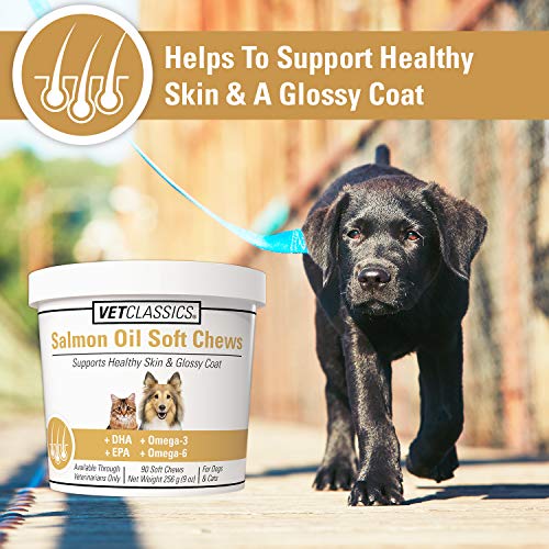 Vet Classics Salmon Oil Pet Supplement for Healthy Skin, Glossy Coats β Dog Coat Supplement, Cat Skin Supplement β Includes Omega-3, 6, 9, Source of DHA, EPA β Soft Chews 90 Ct.
