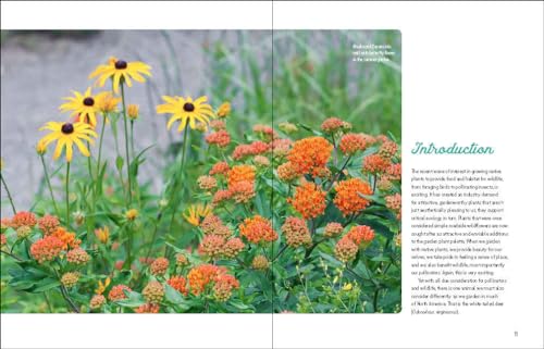 Deer-Resistant Native Plants for the Northeast