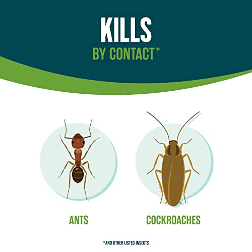 Ecologic Eco-Logic Ant & Roach Killer, Pack of 12
