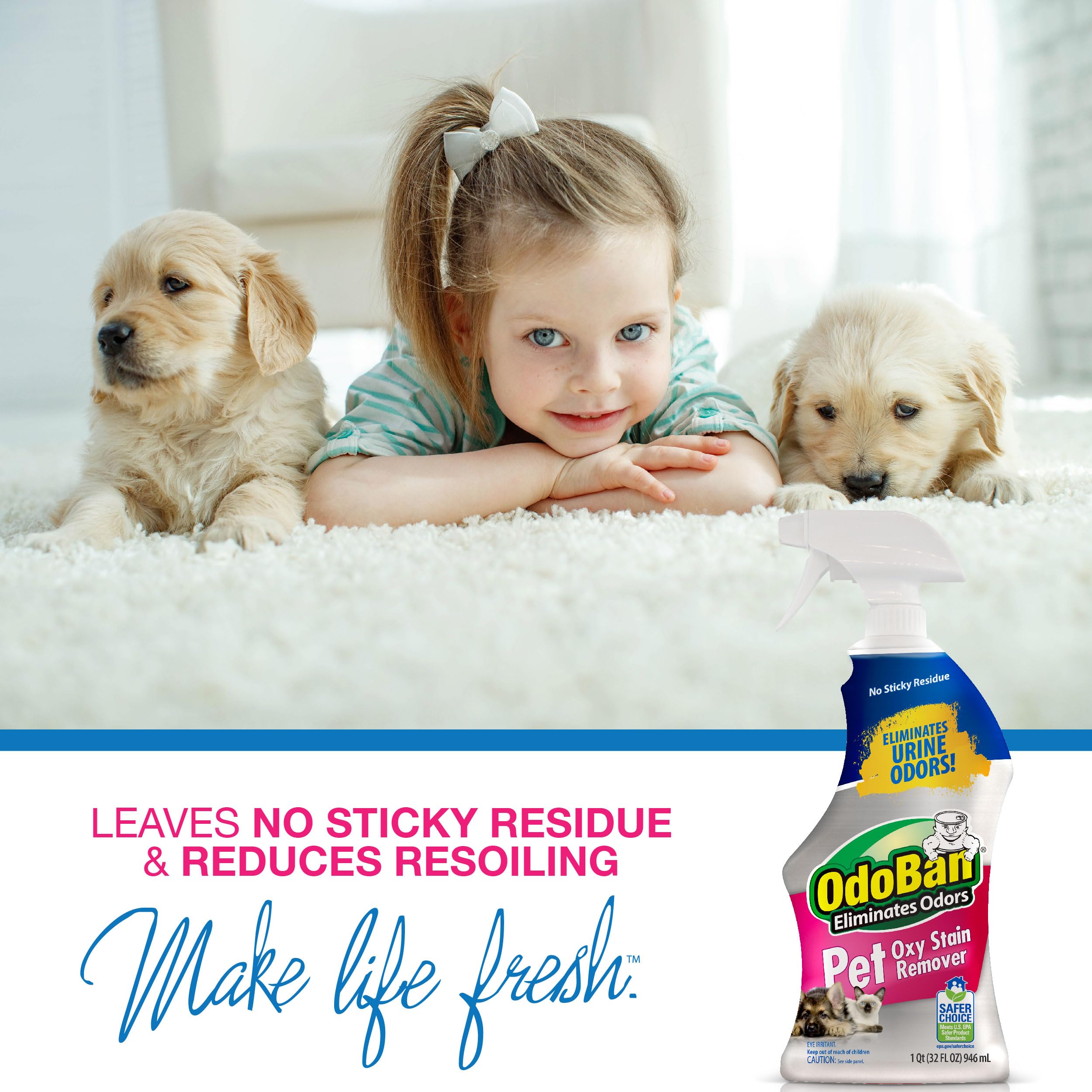OdoBan Pet Solutions Oxy Stain Remover, Pet Stain Eliminator, 32 Ounce Spray