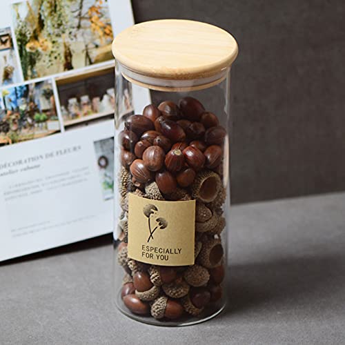DYNWAVE 200Pcs Natural Acorns Caps Decorative for Craft Vase Fillers Home Garland Autumn Embellishments Ornaments