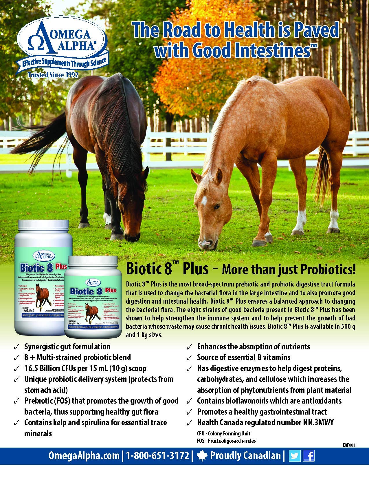 Omega Alpha Biotic 8 2.2lbs for horses