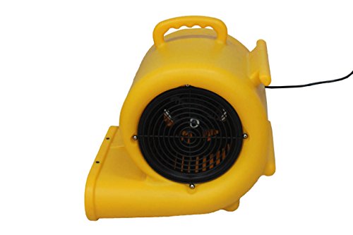 Zoom Blowers® 1/3 Horsepower Carpet Dryer, Air Mover | Commercial Grade Floor Blower Fan