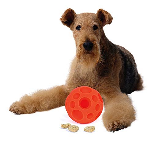 Omega Paw Tricky Treat Ball, Large