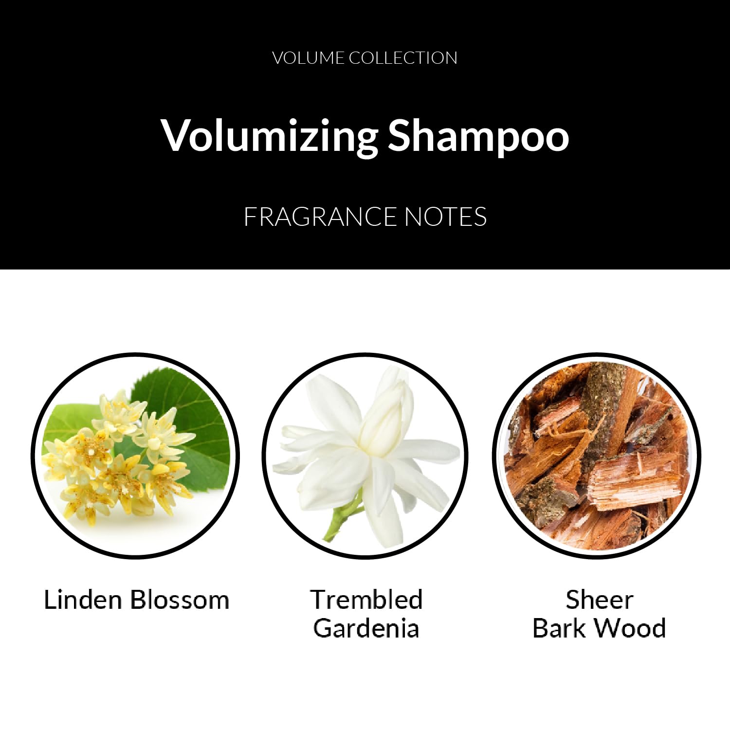Number 4 Hair Shampoo for Women and Men, Volumizing Shampoo, 8.5 oz