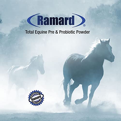 Ramard Total Prebiotic & Probiotic Equine Formula - Natural Ingredients for Foals & Adult Horses, Healthy Gut Flora & Optimal Nutrient Absorption - The Ultimate Digestive Supplement - 8.5 oz Jar