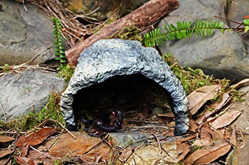 Gray Reptile Rock Cave Habitat Hide – Premium Non-Toxic Resin for Aquariums & Terrariums – Large Size
