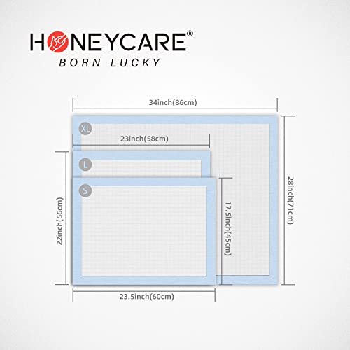 HONEY CARE All-Absorb, Large 22" x 23", 100 Count, Dog and Puppy Training Pads, Ultra Absorbent and Odor Eliminating, Leak-Proof 5-Layer Potty Training Pads with Quick-Dry Surface, Blue, A01