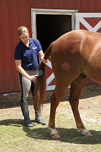 Oster Equine Care Series 7-Piece Horse Grooming Kit