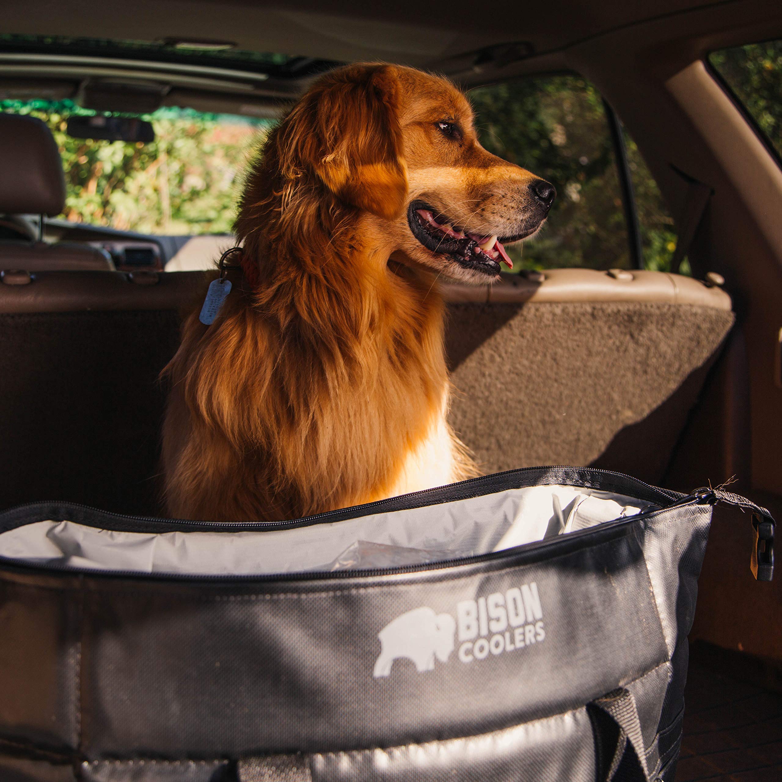 Bison Soft Cooler, Small Cooler Bag, Travel Cooler, Soft Sided Cooler Bag, Camping Coolers, Insulated Cooler, Soft Cooler Bag, Travel Cooler for Car, Bag Cooler