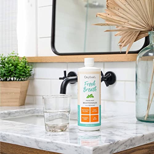 Oxyfresh Fresh Breath Fresh Mint Mouthwash – Dentist Recommended for Long-Lasting Fresh Breath & Healthy Gums | Alcohol & Fluoride Free (1-16 oz Bottle)