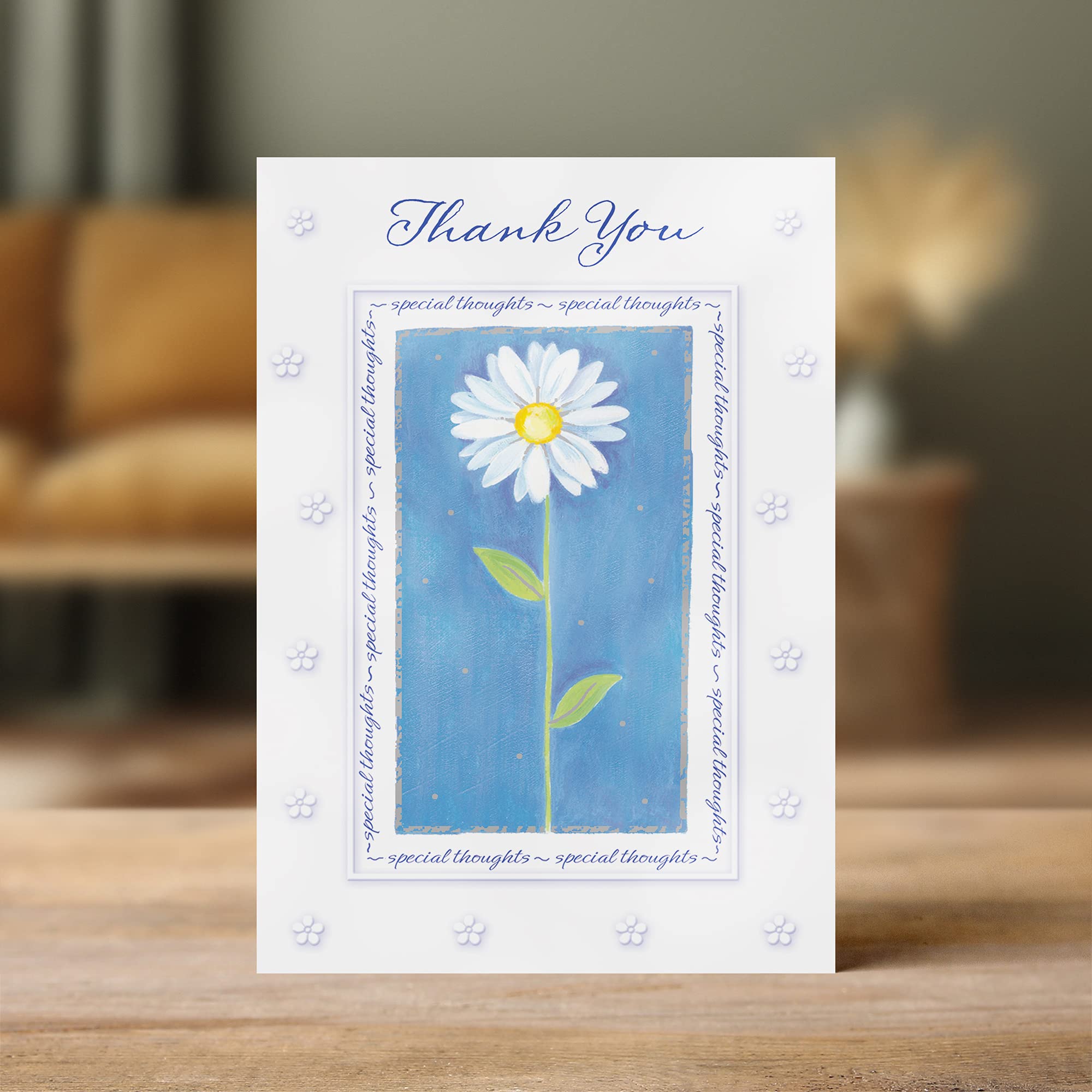 Designer Greetings Thank You Cards, Special Thoughts Meant So Much Message for Any Occasion (8 Daisy Thank-You Notes and Envelopes)