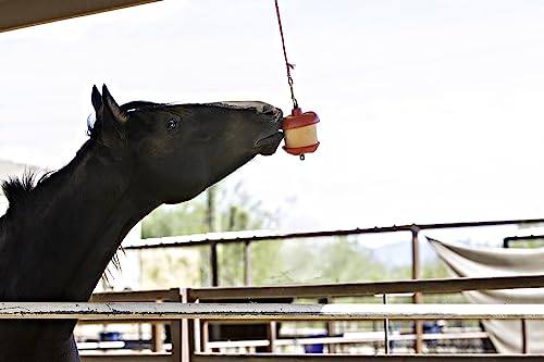 Horsemen's Pride Stall Snack Treat Holder & Refill for Horses; Apple Flavor