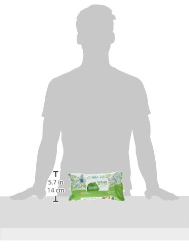 Seventh Generation, 34208, Fre and Clear Baby Wipes, Unscented, White, 64/Pack, Sold As 1 Pack