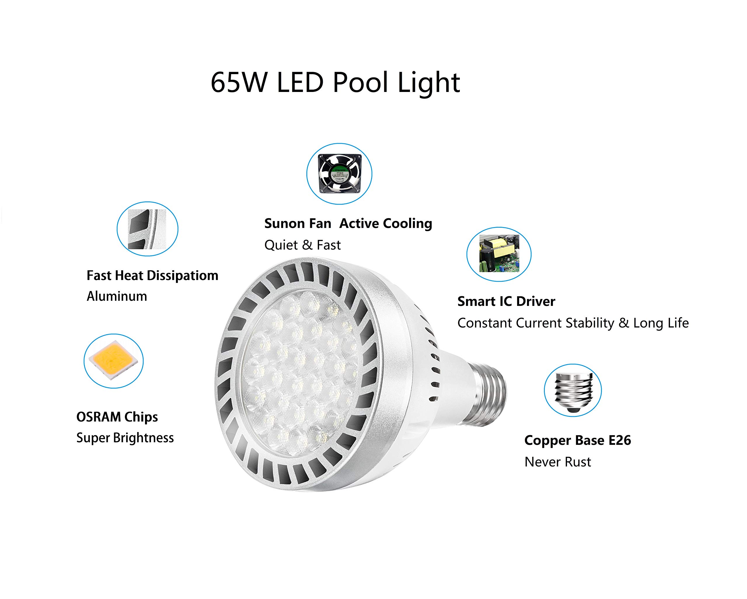 Broadroad LED Pool Light Bulb 120V 65W Daylight White 6000K Swimming Pool 6000LM Pool Light Bulb Replacement for Most Pentair Hayward Light Fixtures (Pool 65W)
