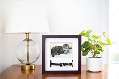 Pearhead Pet Collar Keepsake Frame, Pet Memorial Picture Frame, Pet Owner Home Decor, Cat Or Dog Keepsake, 3" x 4.5" Photo Insert, Wall Mount And Tabletop Frame, Espresso