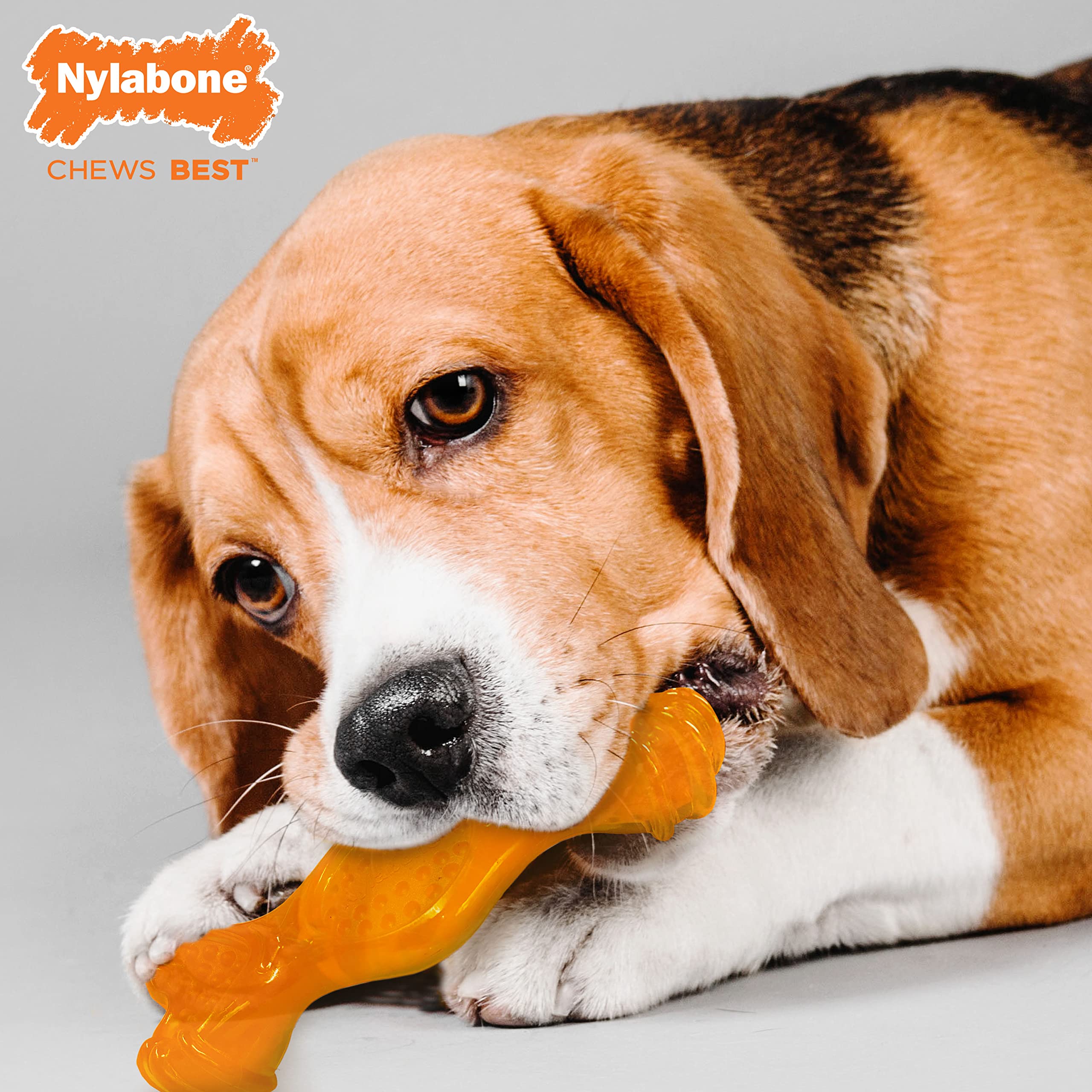 Nylabone Flexi Chew Fill & Treat Senior Dog Chew Toy Bacon Flavor Medium/Wolf (1 Count)