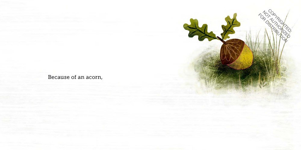 Because of an Acorn: (Nature Autumn Books for Children, Picture Books about Acorn Trees)