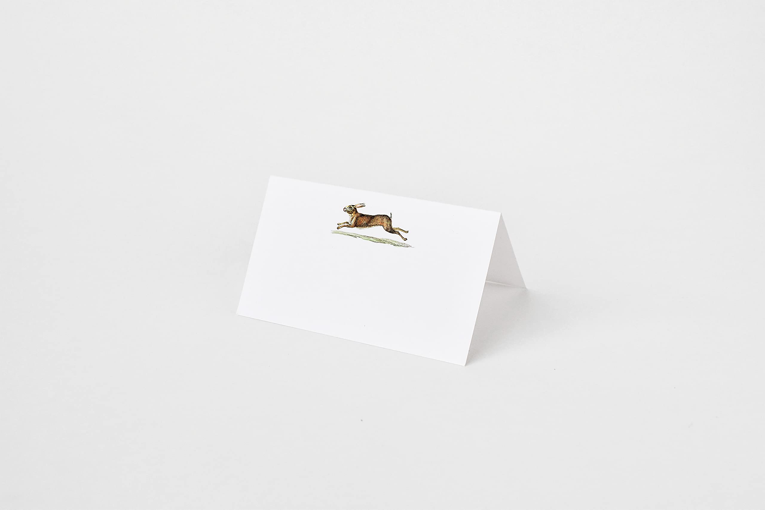 Place Cards with Rabbit (Hare) for Showers and Dinner Parties. Table Tent Style, Scored for Easy Folding (12)