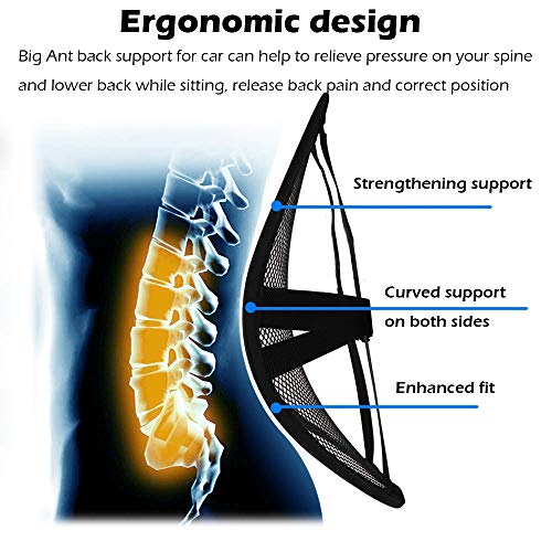 Big Ant Lumbar Support, Car Back Support Mesh Double Layers Ergonomic Designed for Comfort and Lower Back Pain Relief - Car Seat Lumbar Support for The Driver, Office Chair, Wheelchair