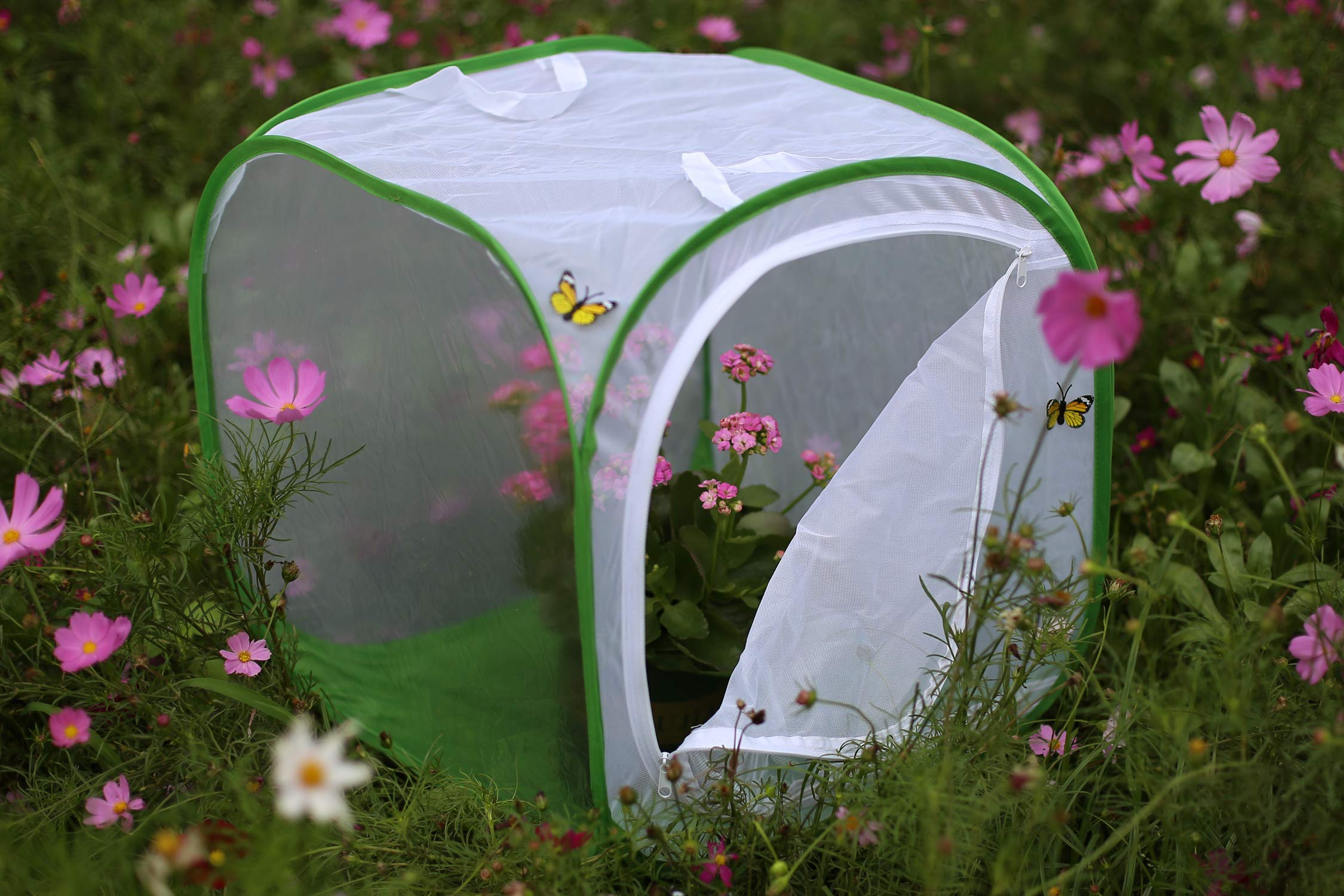 Big Cube Insect and Butterfly Habitat Cage Terrarium Pop-up 20 X 20 X 20 Inches