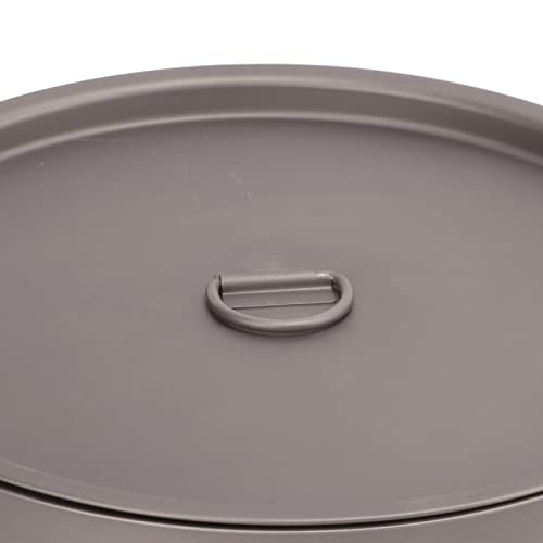 COAECJ Titanium Camping Pot 2L, with Lid and Folding Handle, Camping Cookware for Outdoor Travel Walking Hiking Fishing Beach Picnic Mountaineering Backpacking Camping Pot
