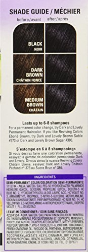 SoftSheen-Carson Dark and Lovely Reviving Colors Nourishing Color & Shine, Radiant Black 391