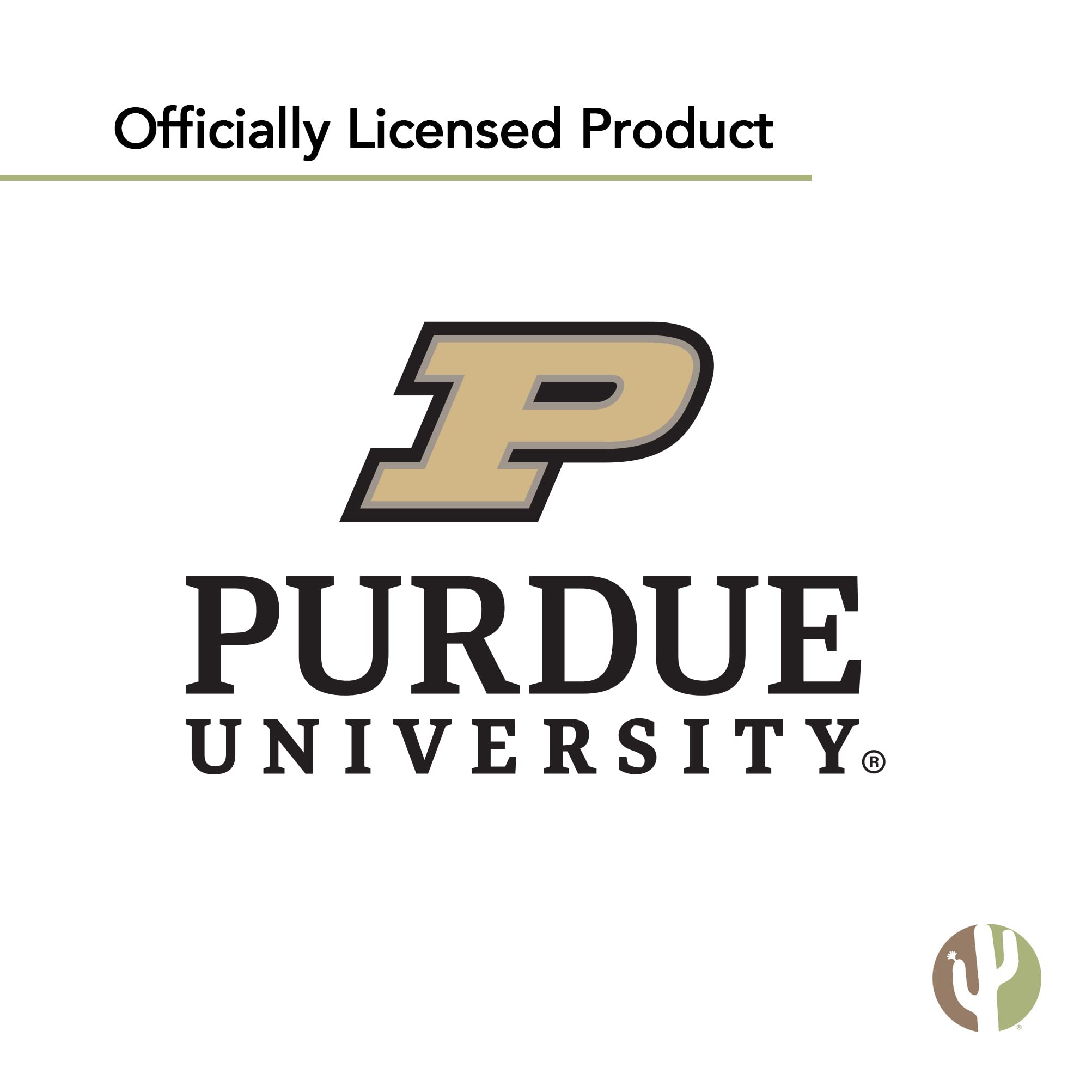 Desert Cactus Purdue University 10 Pack Notecards Stationery Cardstock Boilermakers Includes Envelopes Memo Party Thank You (Notecard 1a)