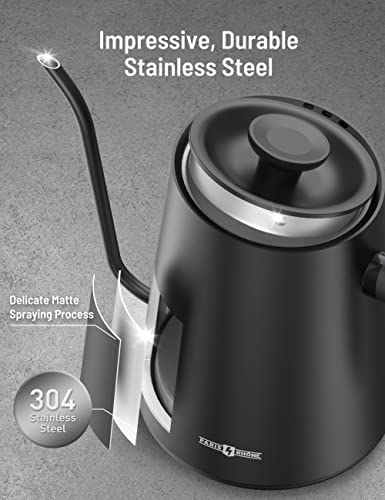 Paris Rhône Gooseneck Electric Kettle, Temperature Variable Electric Kettle for Coffee Tea Brewing, 0.9L Stainless Steel Tea Kettle, 1H Temperature Holding, Built-in Stopwatch for Gift
