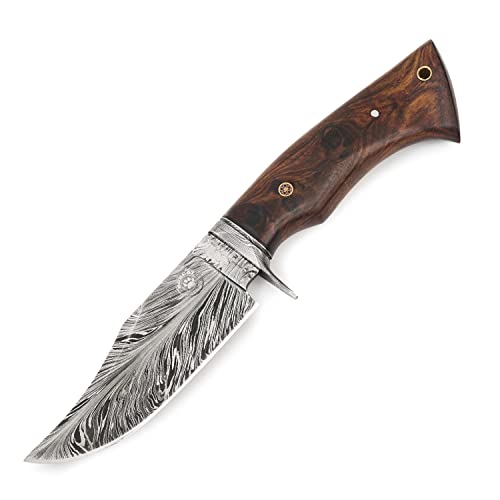 BIGCAT ROAR Handmade Damascus Hunting Knife - Bushcraft Fixed Blade Hunting Knife with Sheath and Walnut Wood Handle - 10″ EDC Skinning Knife - Bladesmith Pride