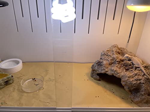 Flushbay Reptile Rock Hide Cave Resin Large Reptile Hideouts Habitat Cave Terrarium Decorations for Bearded Dragon Lizards Geckos Leopard Chameleons Frogs Turtles Snakes